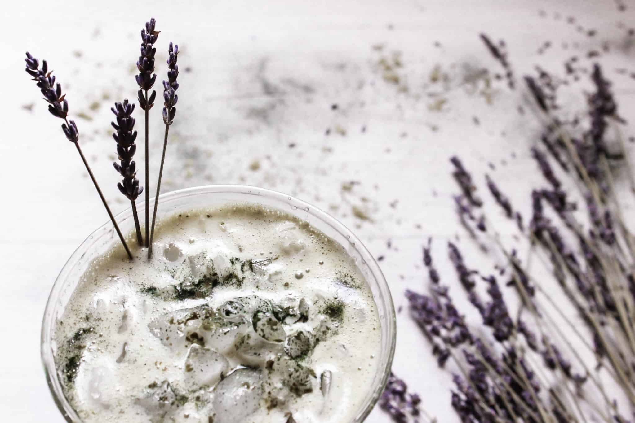25 Super Lovely Ways to Cook with Lavender - Botany Culture